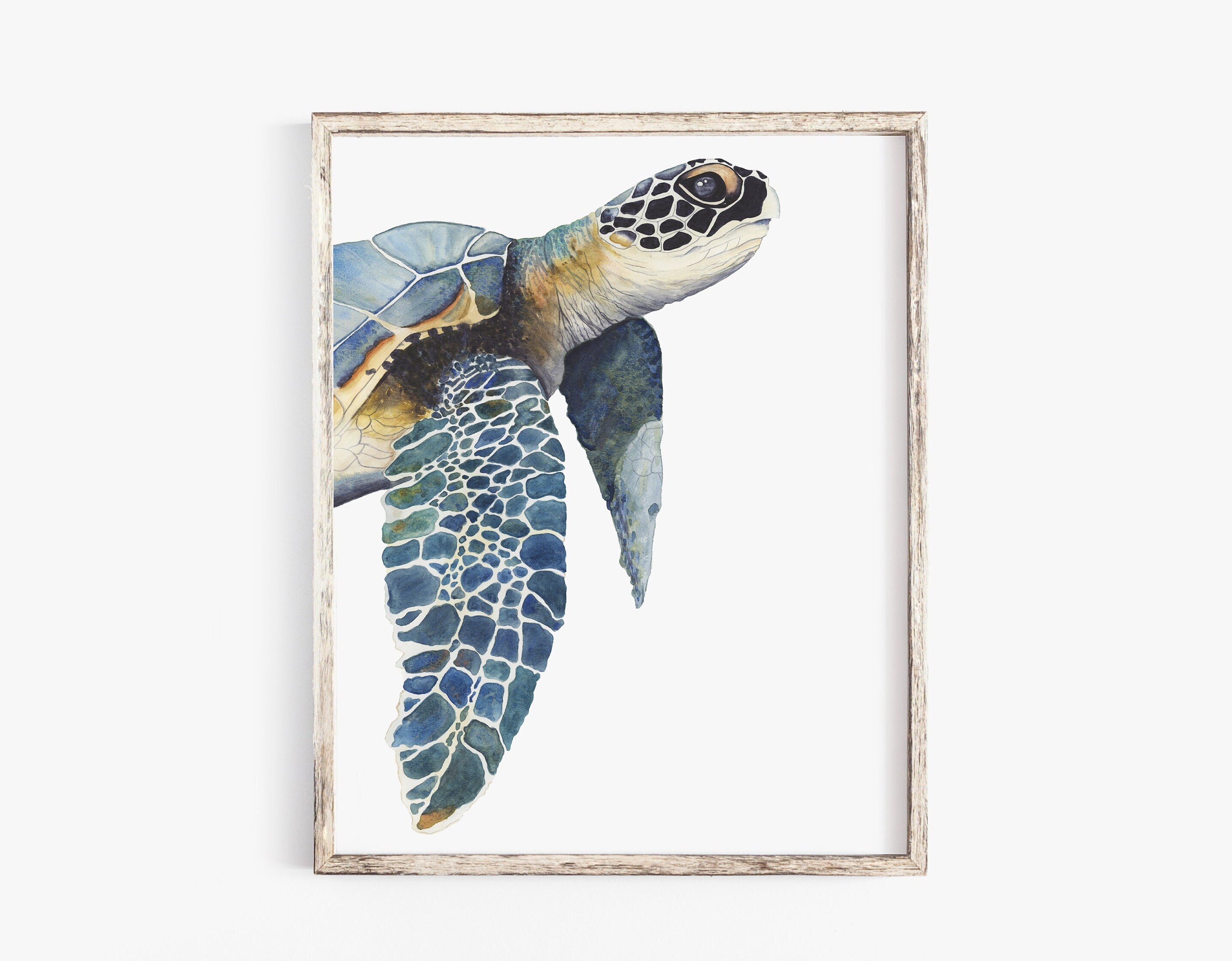 Sea Turtle PRINT - Watercolor - Coastal Wall Art - Beach Decor ...