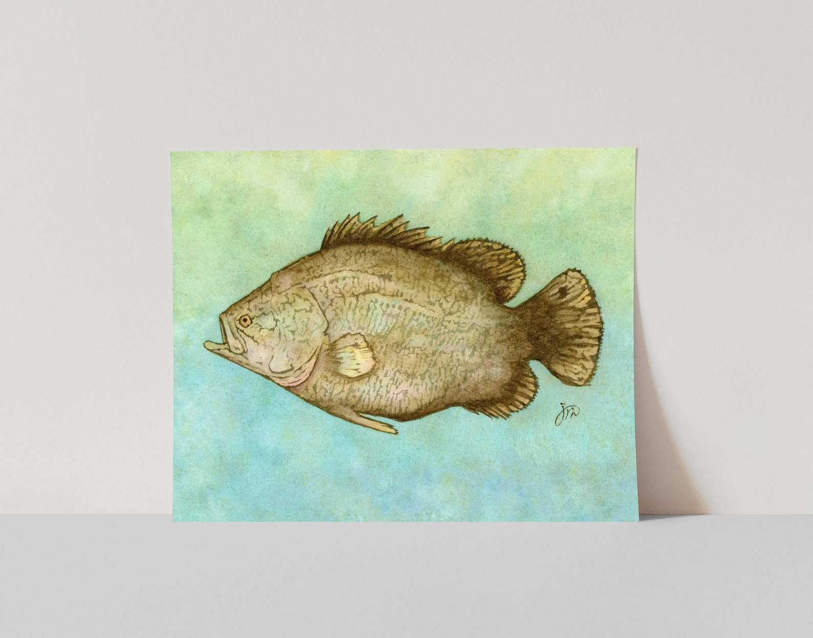 Triple Tail Fish Print: Original Watercolor Giclee, Saltwater Fish ...
