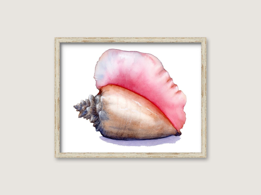 Queen Conch Shell PRINT - Original Watercolor Painting - Beach House ...