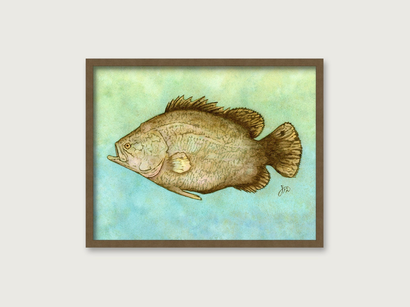 Triple Tail Fish Print: Original Watercolor Giclee, Saltwater Fish ...
