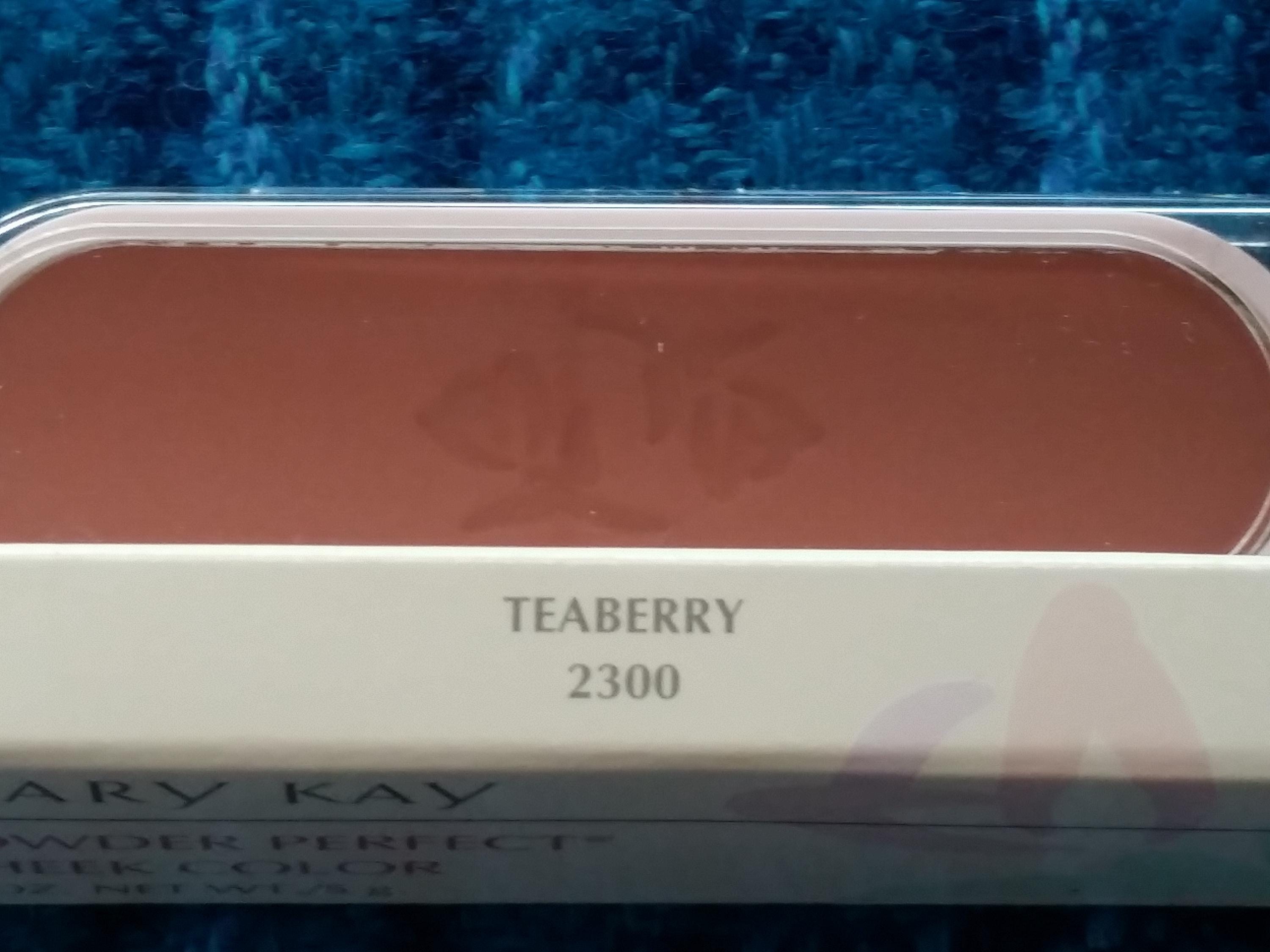 Vintage New Old Stock MARY KAY Powder Perfect Cheek Color ~ Unused ...
