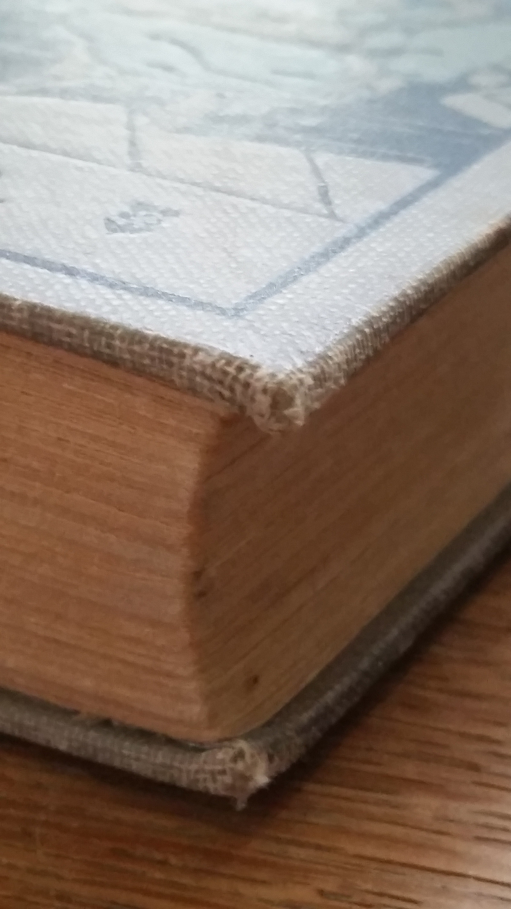 Antique Book the Linger-nots and Their Golden Quest Agnes Miller ...