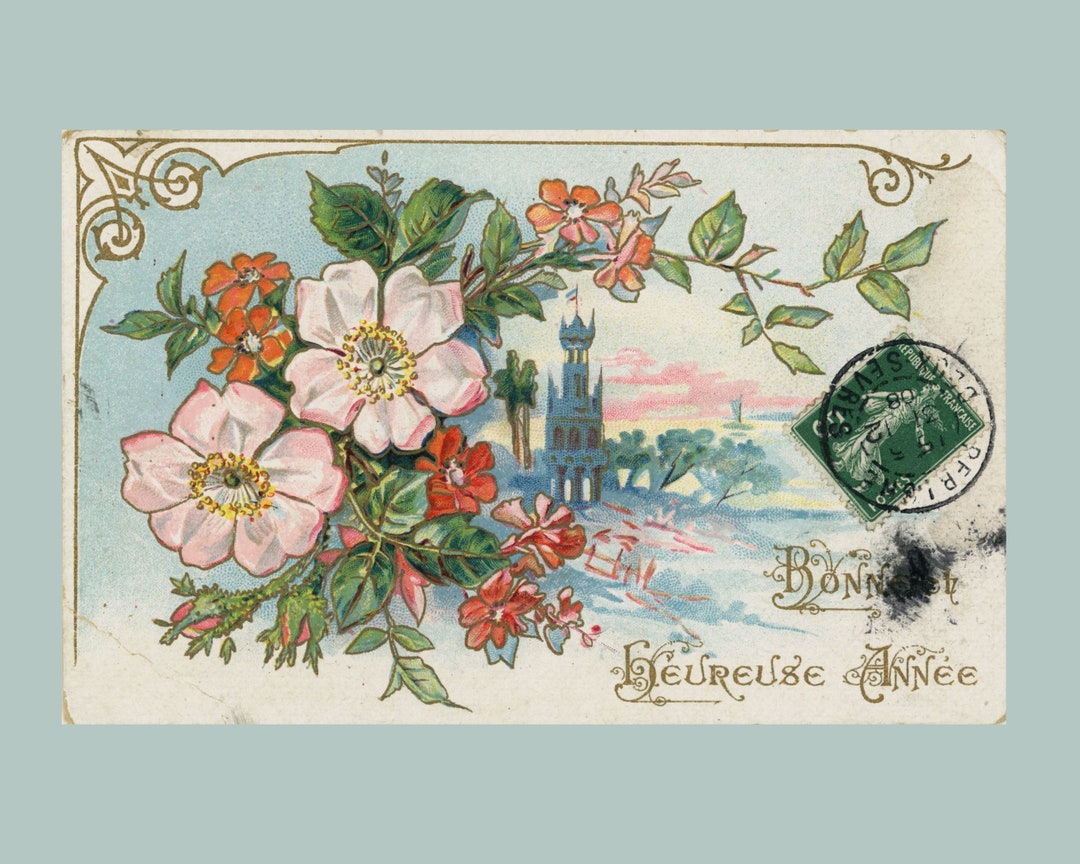 Lovely Early French Vintage Postcard, Embossed Wild Roses With ...