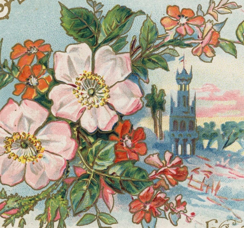 Lovely Early French Vintage Postcard, Embossed Wild Roses With ...