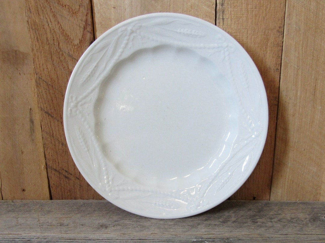 Antique Ironstone Plate Thomas Furnival and Sons - Etsy