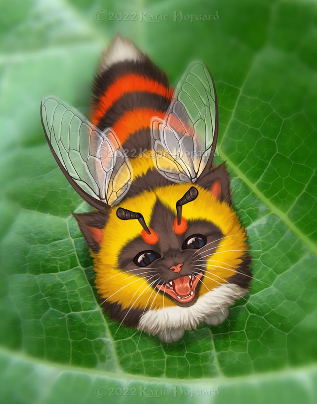 Kitten Bee Tiny Meow - Etsy