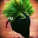 Gecko Mohawk Hat - Etsy