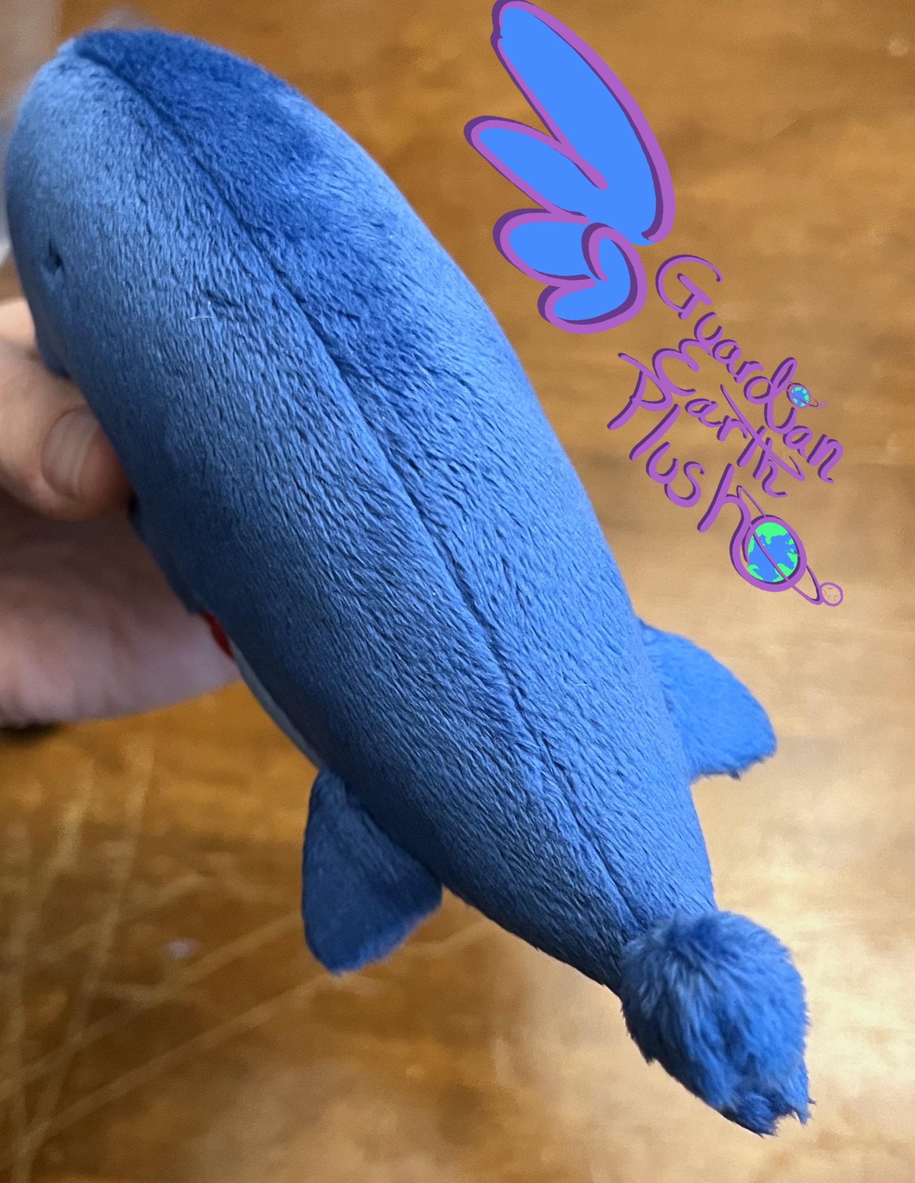 Mr Magellan Finny the Shark Whale Plush 7" Super Simple Songs - Etsy