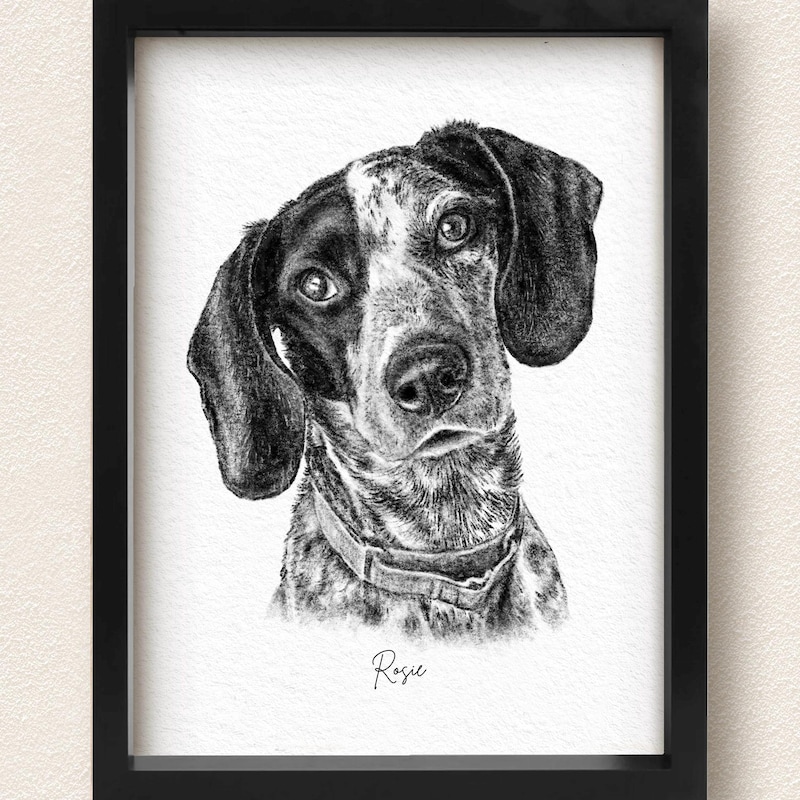 Dog Art Charcoal - Etsy