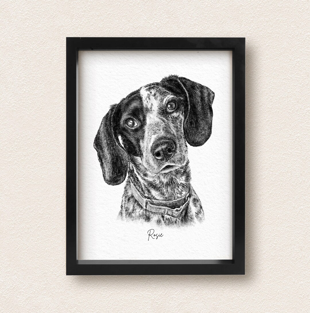 Custom Charcoal Pet Portrait, Pet Drawing, Dog Portraits From Photos ...
