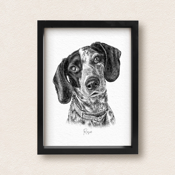 Pet Sketches Charcoal - Etsy