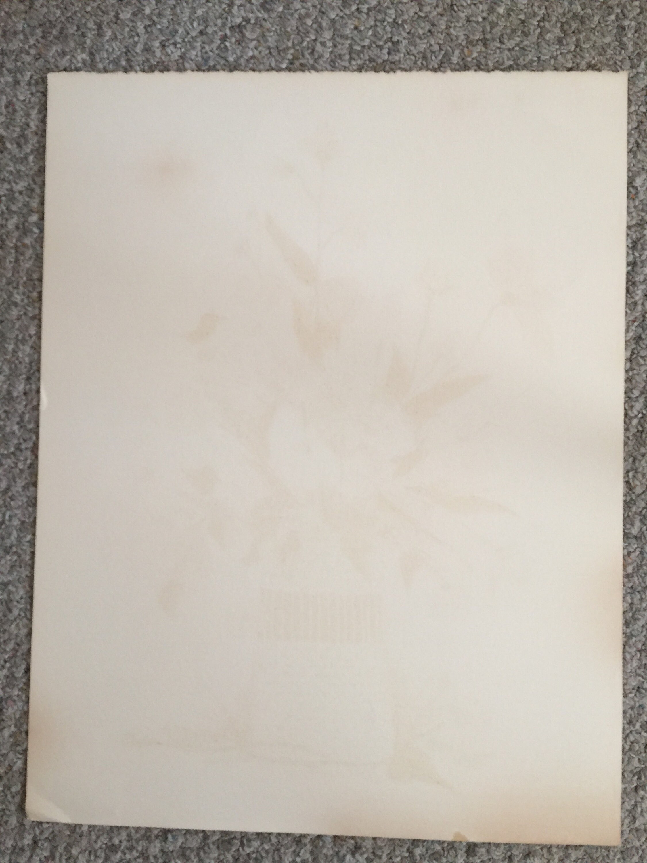 Jennifer Berringer Lithograph Limited Edition Print Signed - Etsy