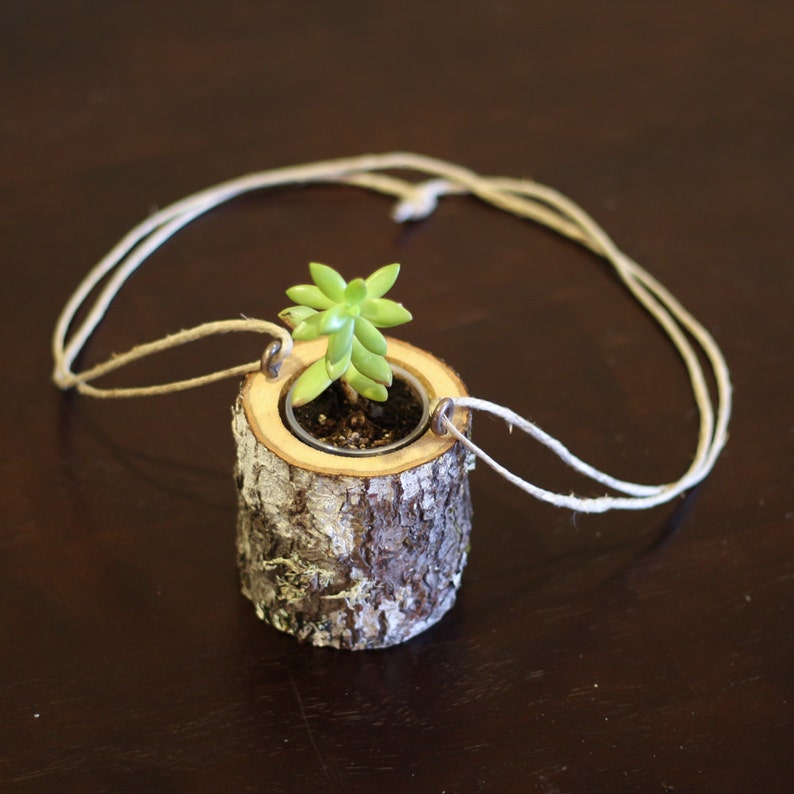 Hanging Planter Indoors Rustic Hanging Succulent Planter Log Planter ...