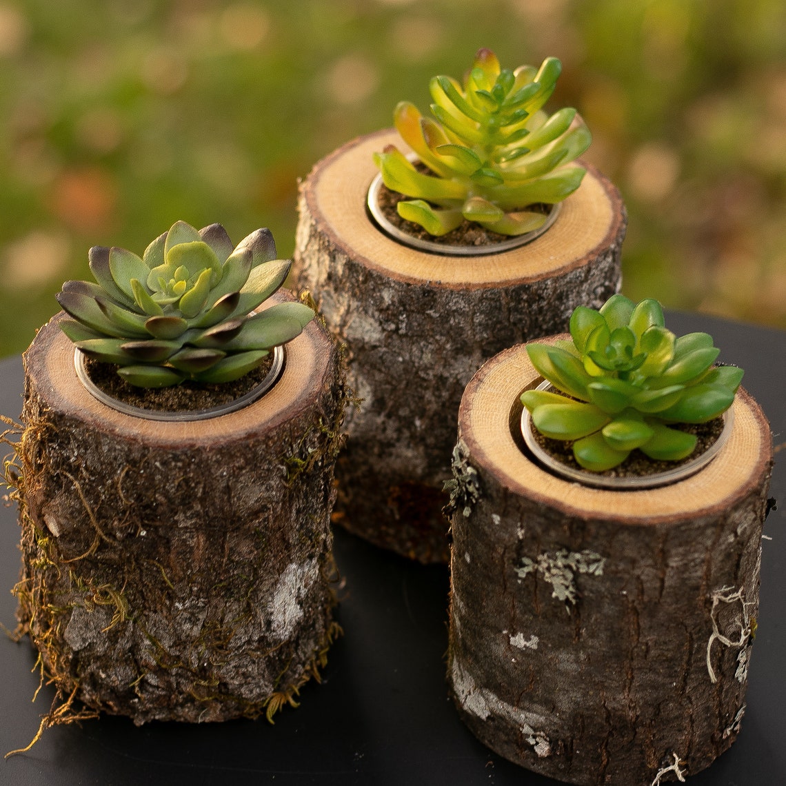 3 Plant Pots Coworker Gift Holder Boss Gift Log Planter Desk - Etsy