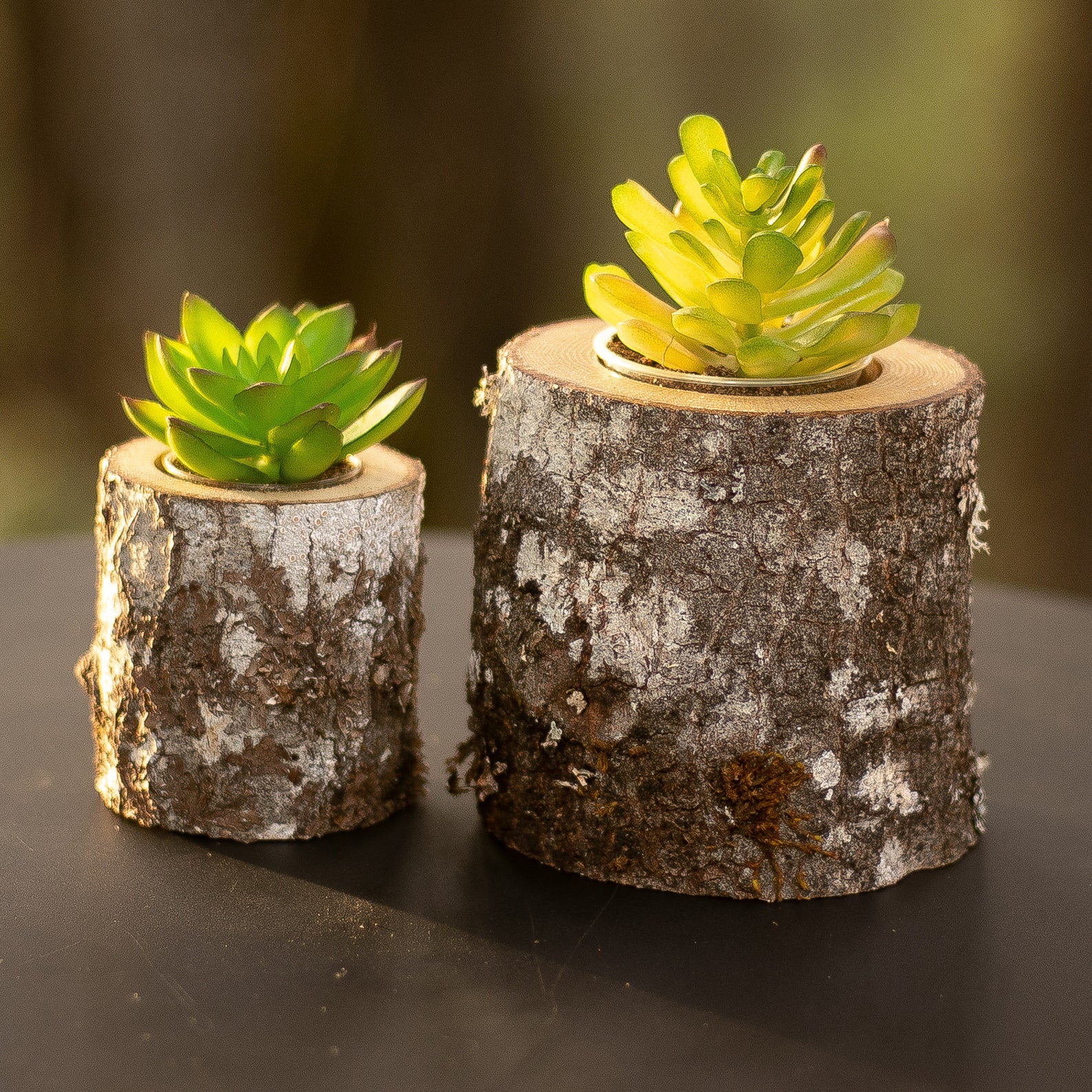 3 Plant Pots Coworker Gift Holder Boss Gift Log Planter Desk - Etsy