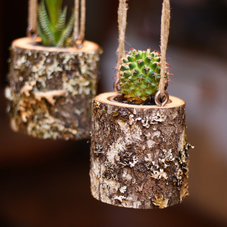 Hanging Planter Indoors Rustic Hanging Succulent Planter Log Planter ...