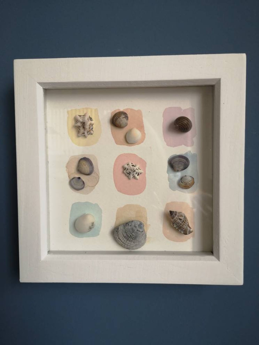 Framed Sea Shells, Beach Finds in Frame, Coastal Decor, Seaside Finds ...