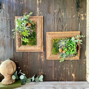 Set of 2 Rustic Worm Hole Wood Framed Faux Succulents and Florals With ...