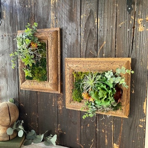 Set of 2 Rustic Worm Hole Wood Framed Faux Succulents and Florals With ...