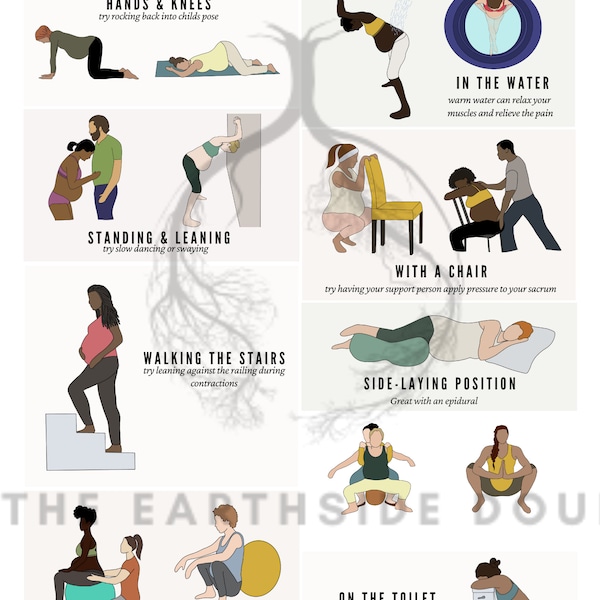 Birth Positions - Etsy
