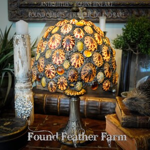 One of a Kind Original Design Handmade Limpet Shell Accent Lamp - Etsy