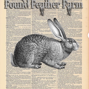 Vintage Antique Dictionary Page With Antique Print "vintage Rabbit ...