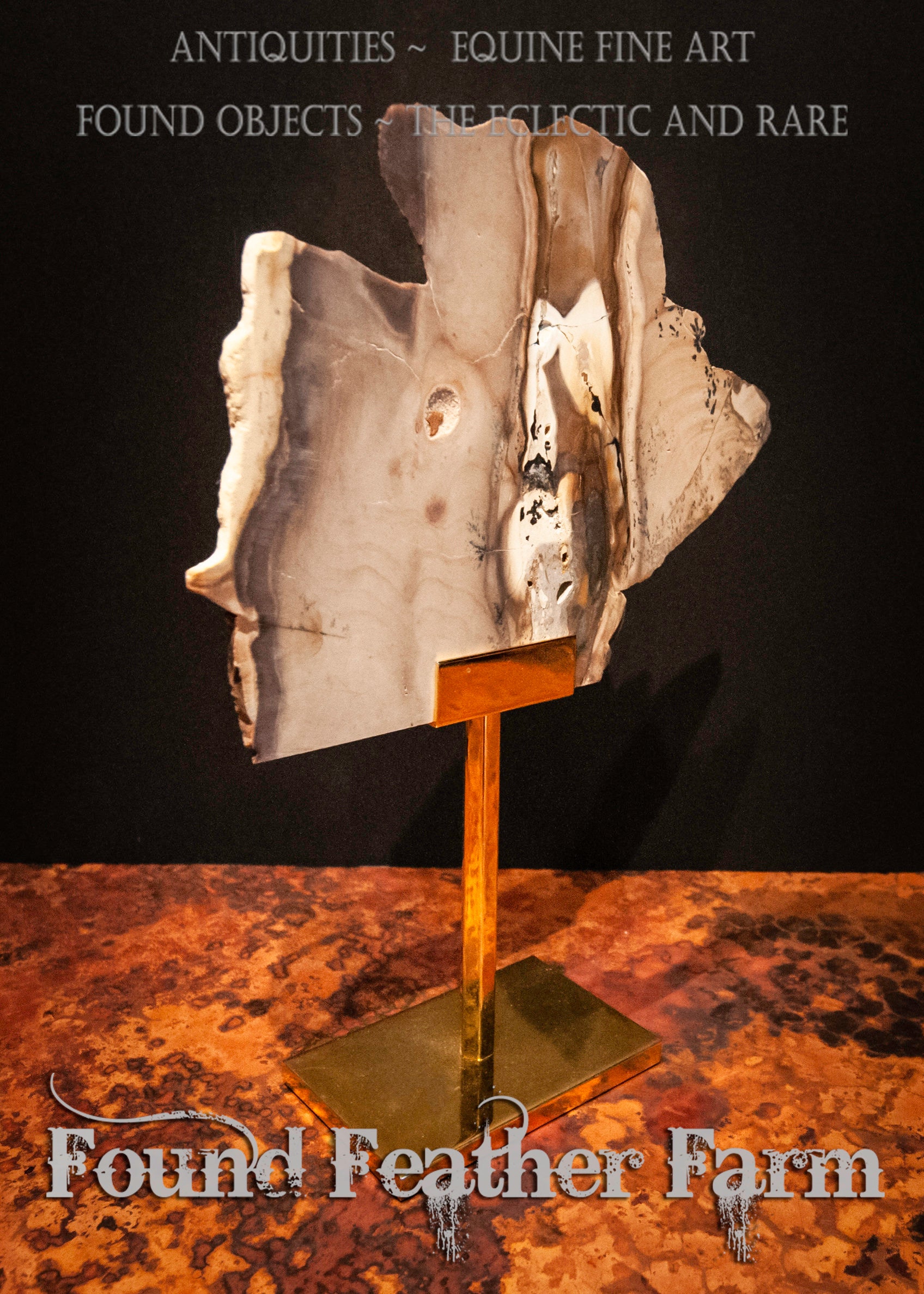 Slice of Petrified Wood Dispayed on a 24K Gold Plated Display Stand