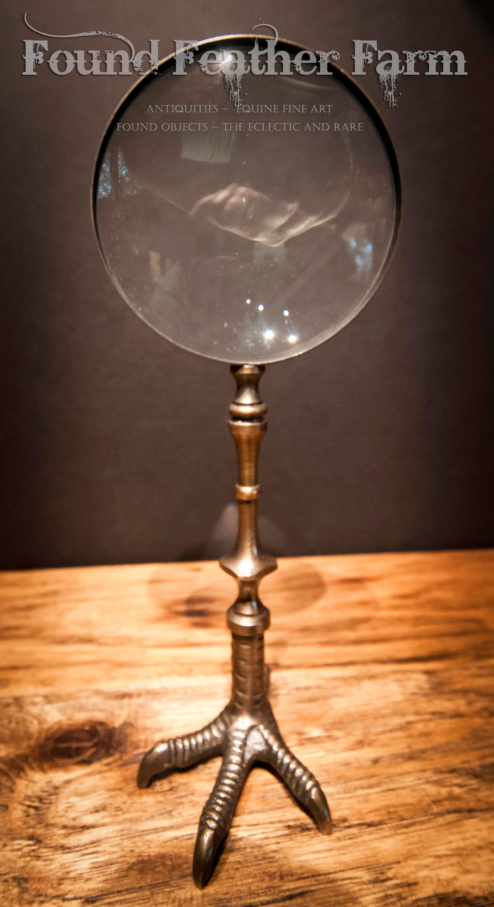 Vintage Bronze Bird Claw Magnifying Glass