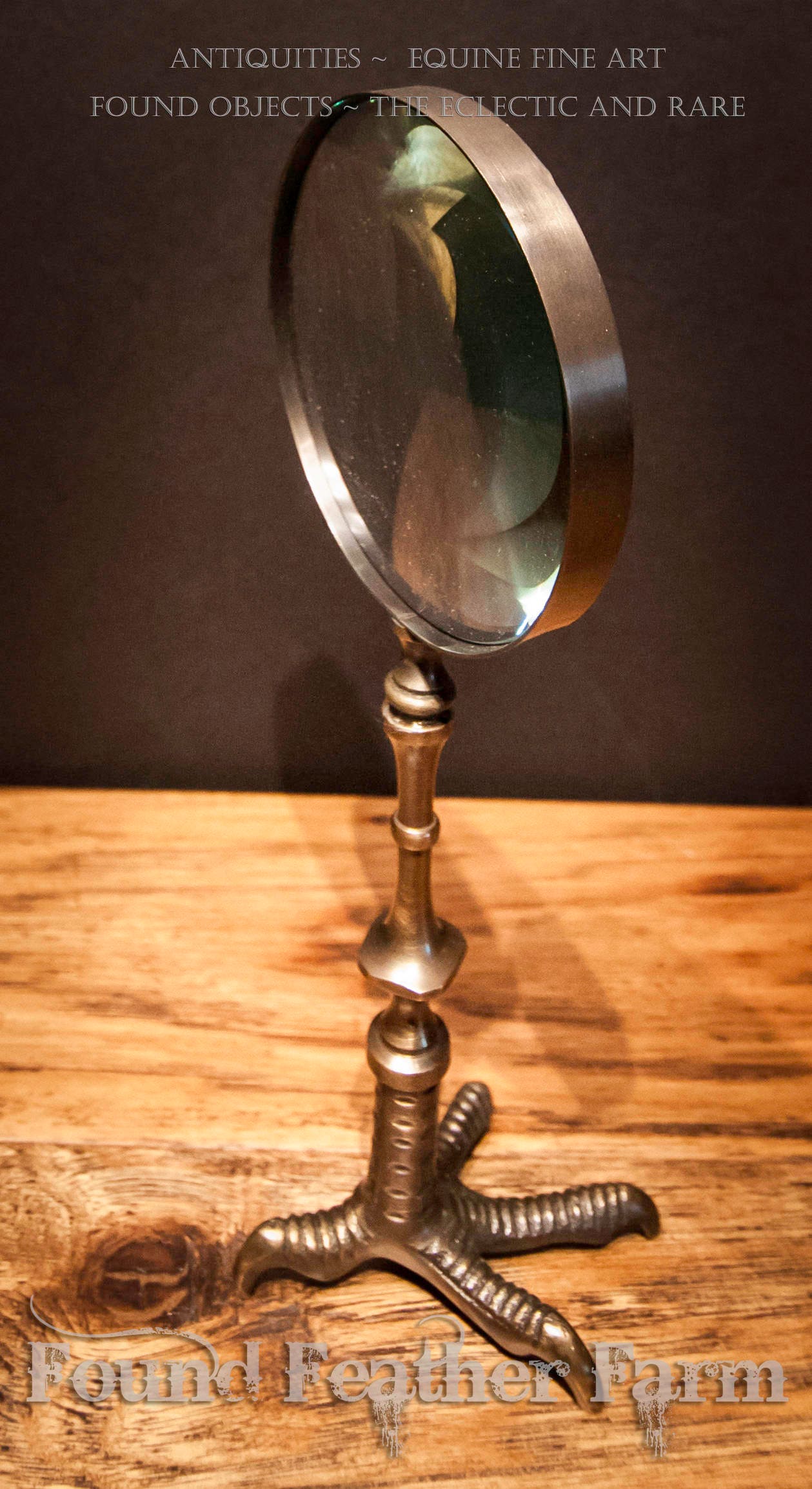 Vintage Bronze Bird Claw Magnifying Glass