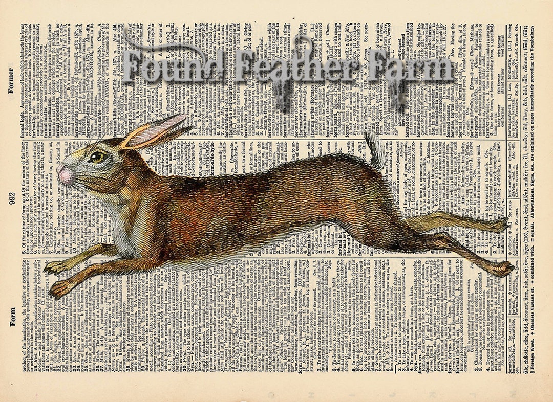 Vintage Antique Dictionary Page With Antique Print "running Rabbit ...