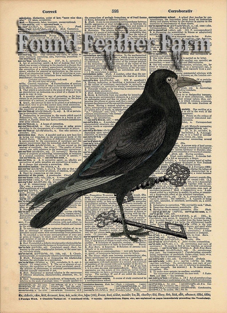 Vintage Antique Dictionary Page With Antique Print "the Key Collector ...