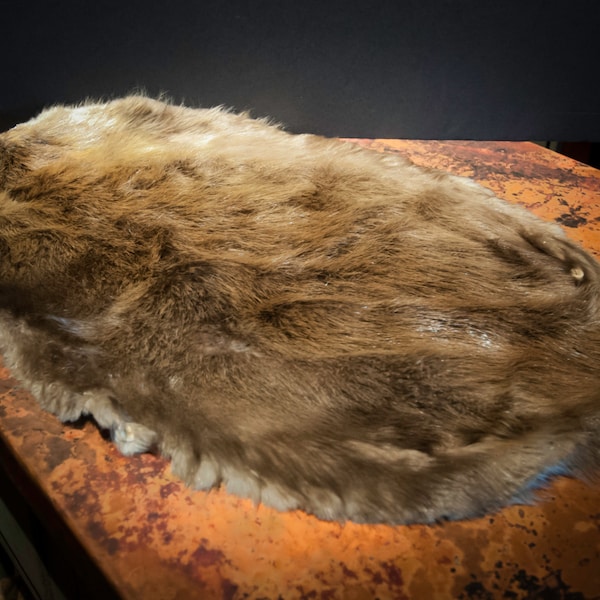 Beaver Pelt - Etsy