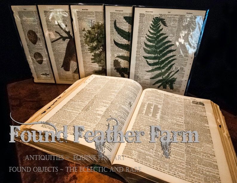Vintage Antique Dictionary Page With Antique Print "the Key Collector ...