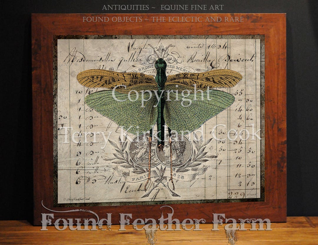 The Grasshopper ~ Original Vintage Art Collage 20" X 24"framed Giclee ...