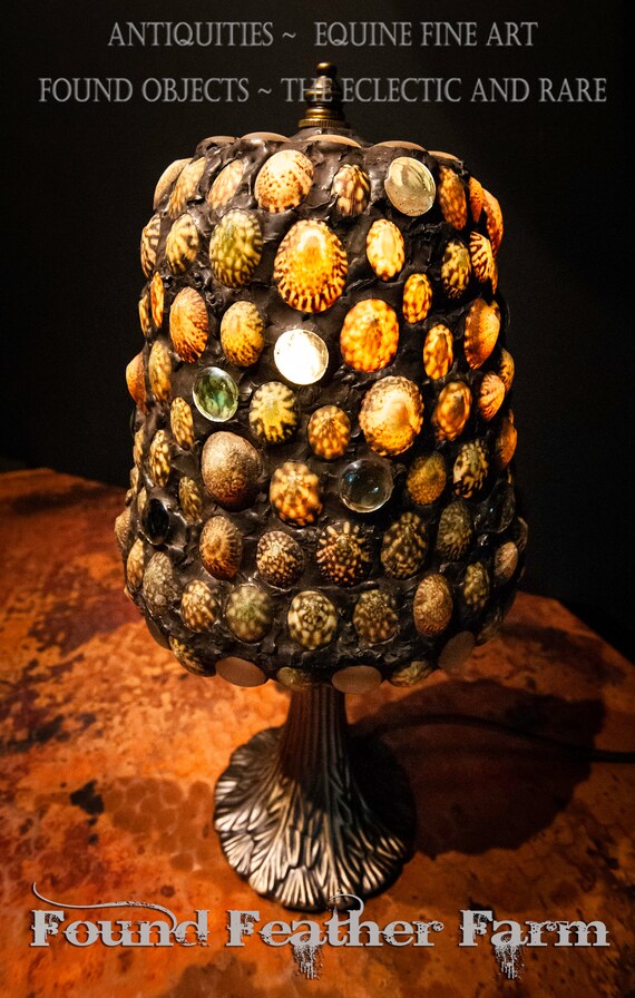 Handmade Shell Lamps - FoundFeatherFarm