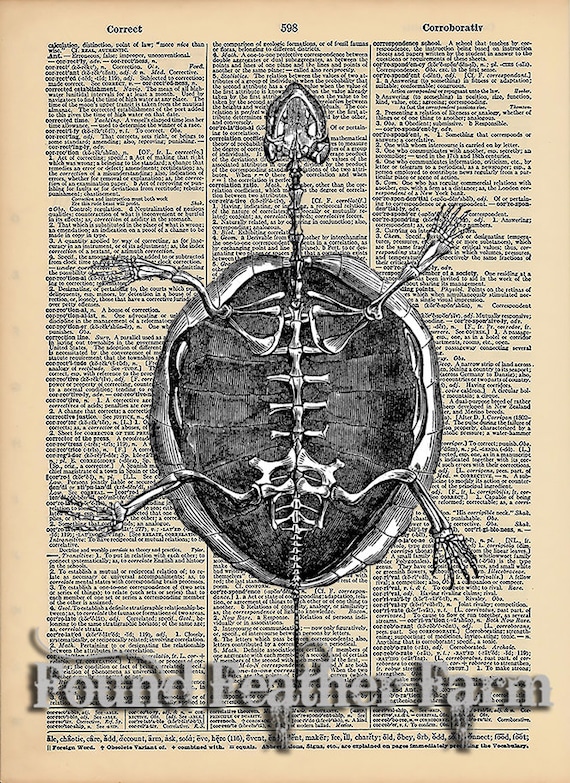 Printed Dictionary Pages - FoundFeatherFarm