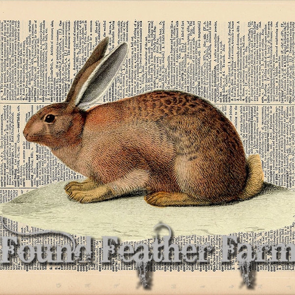 Antique Dictionary - Etsy