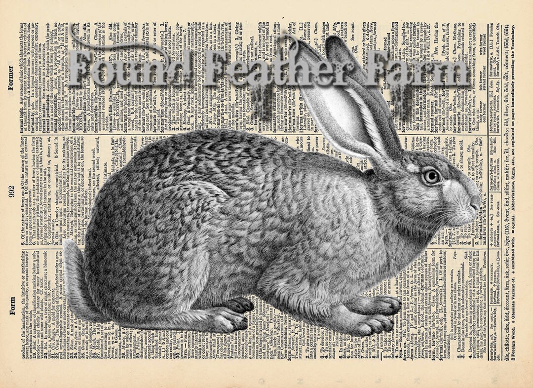 Antique Rabbit Print: 1949 Dictionary Art Page - Etsy