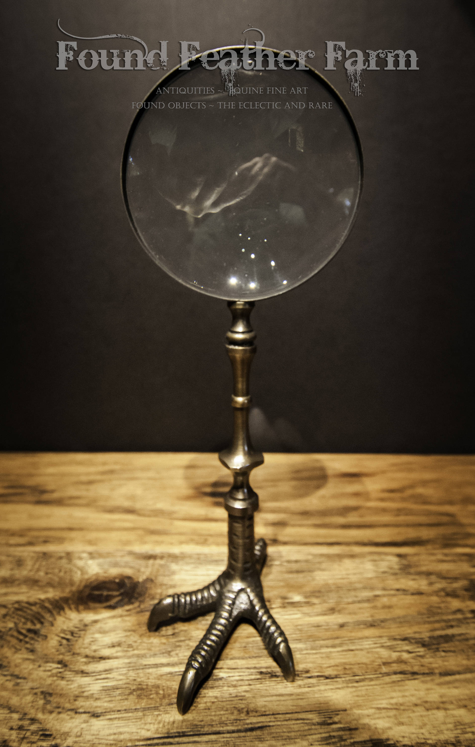 Vintage Bronze Bird Claw Magnifying Glass