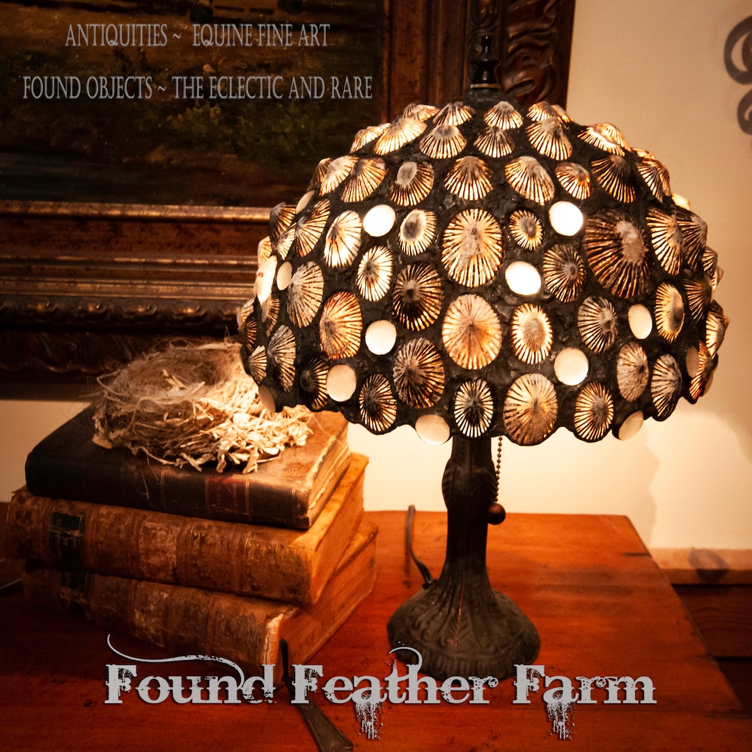 Handmade Limpet Shell Accent Lamp, Tiffany Style Base - Etsy