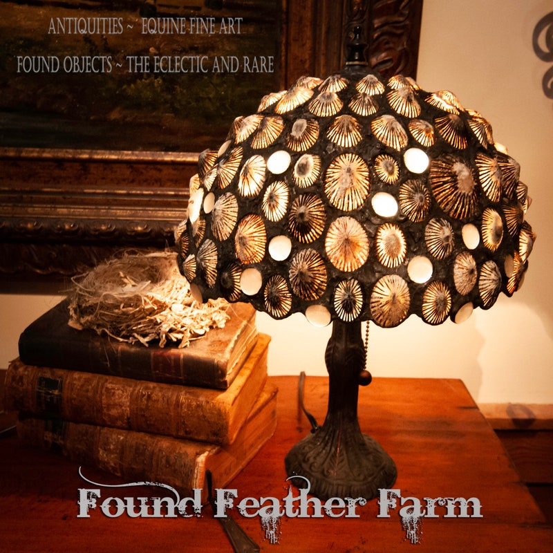 Shell Lamp - Etsy
