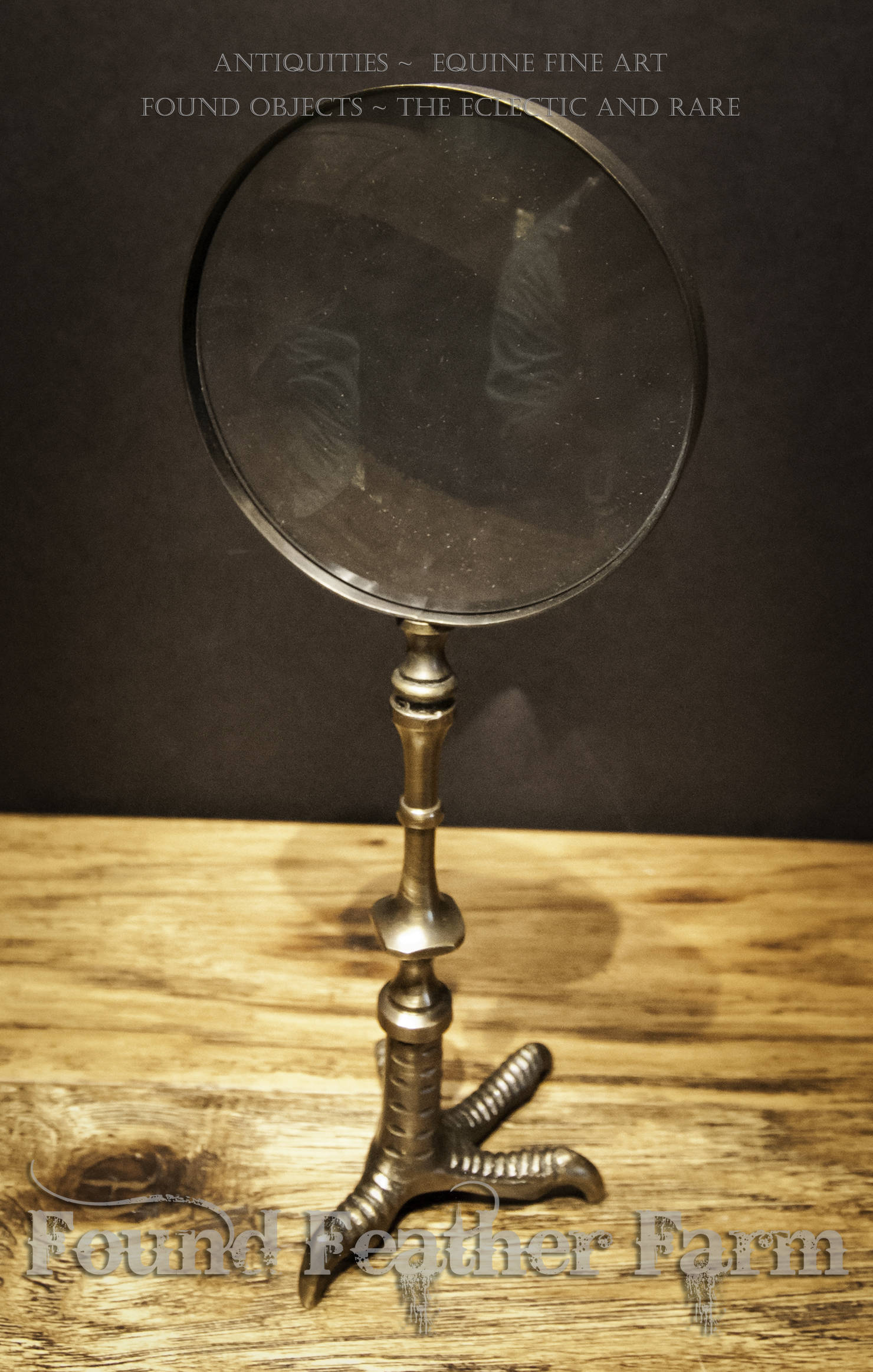 Vintage Bronze Bird Claw Magnifying Glass