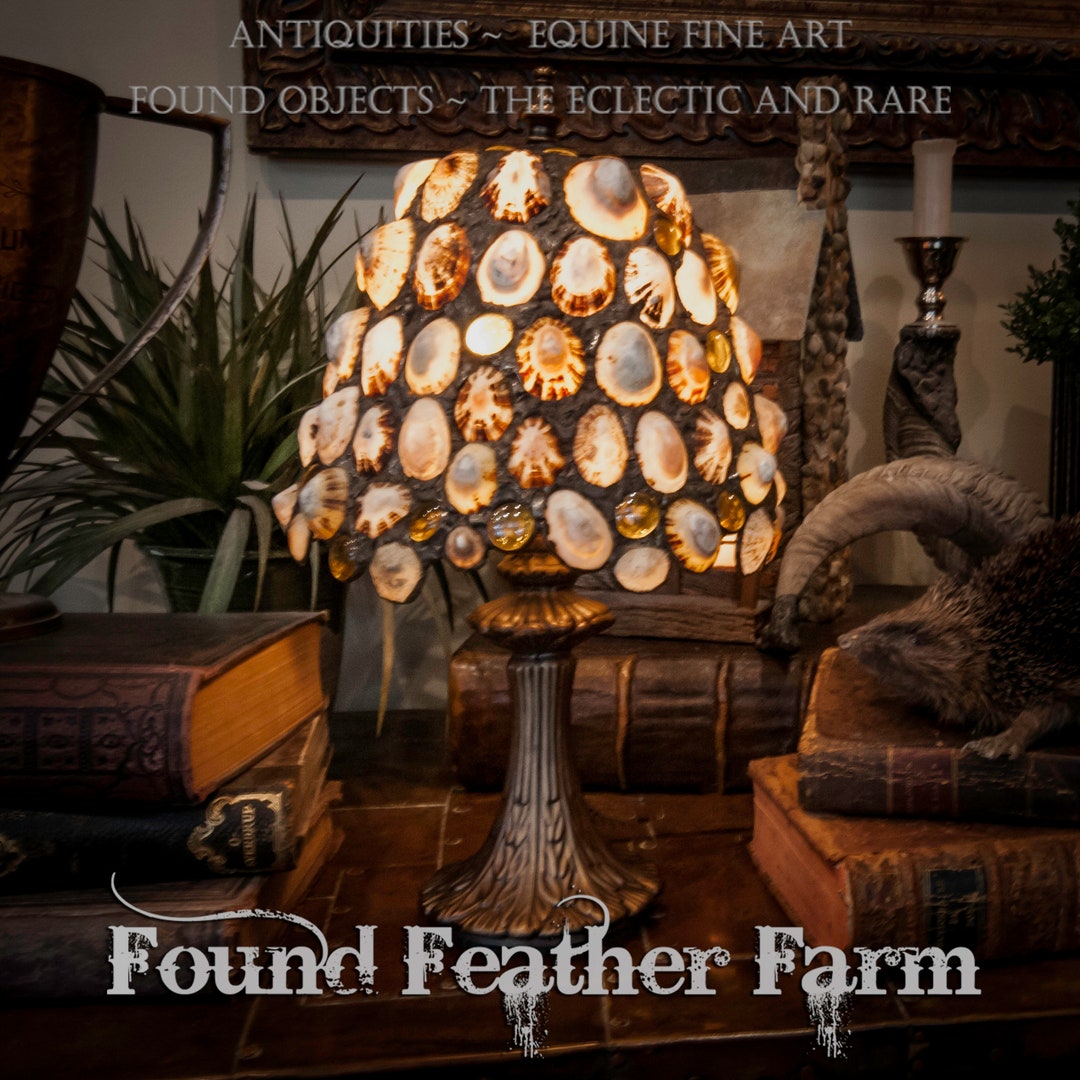 One of a Kind Original Design Handmade Limpet Shell Accent Lamp With ...