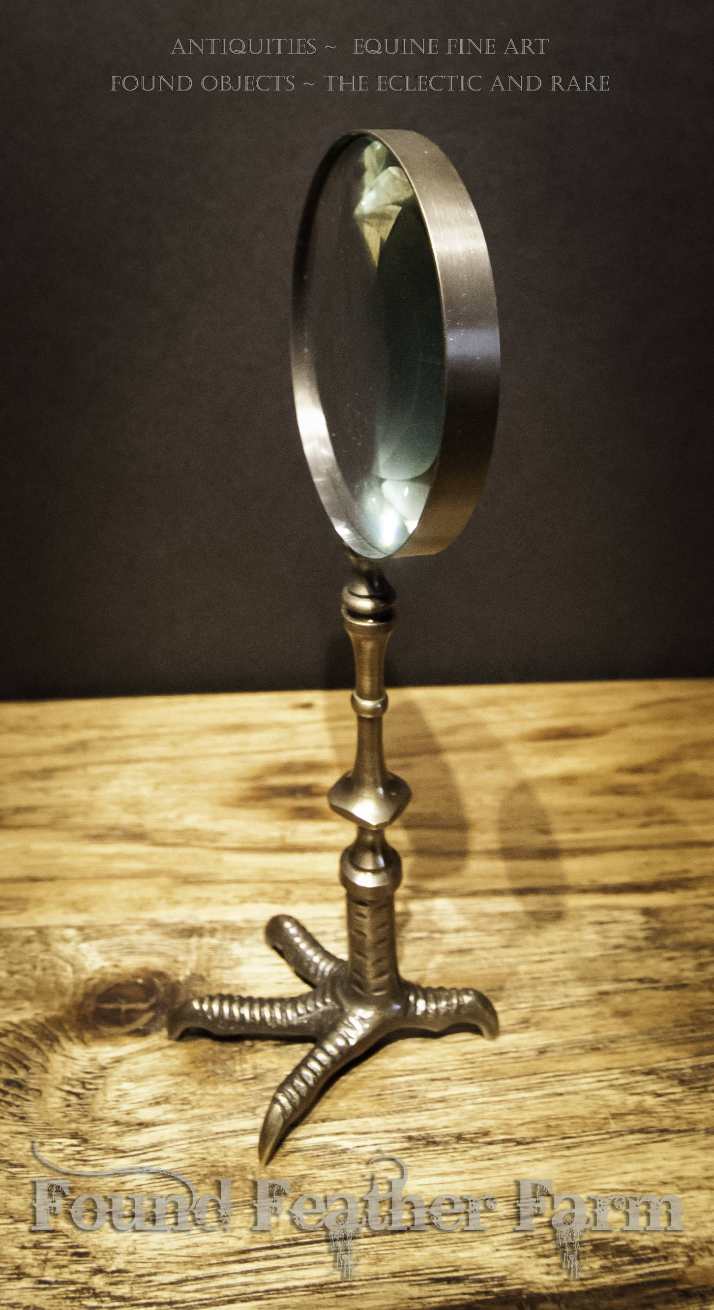 Vintage Bronze Bird Claw Magnifying Glass