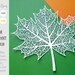 Leaf Paper Cut Svg / Dxf / Eps / Files and Pdf / Png Printable ...