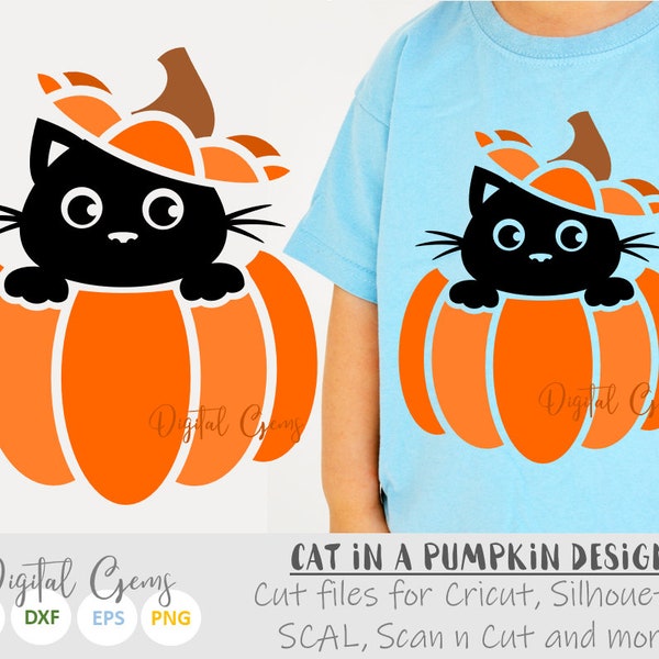 Pumpkin Svg - Etsy