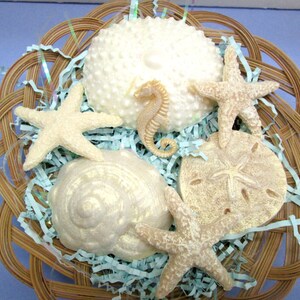 Gift Basket of Seashell Shaped Soaps for the Ocean Lover, Beach House ...