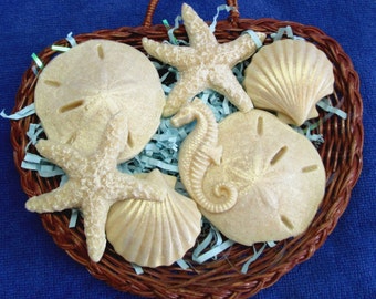 Gift Basket of Seashell Shaped Soaps for the Ocean Lover | Etsy