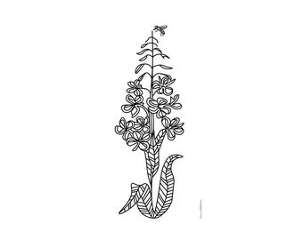 Fireweed Svg - Etsy Canada