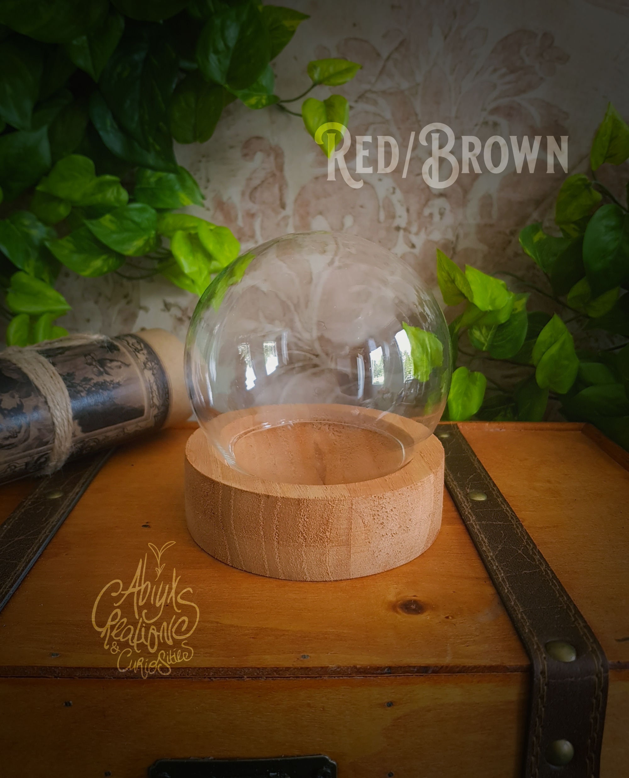 Glass Dome Wood Base Diorama Collectible Display Case - Etsy